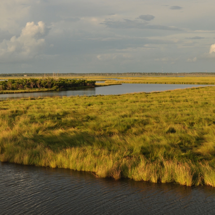 Coastal | Pontchartrain Conservancy